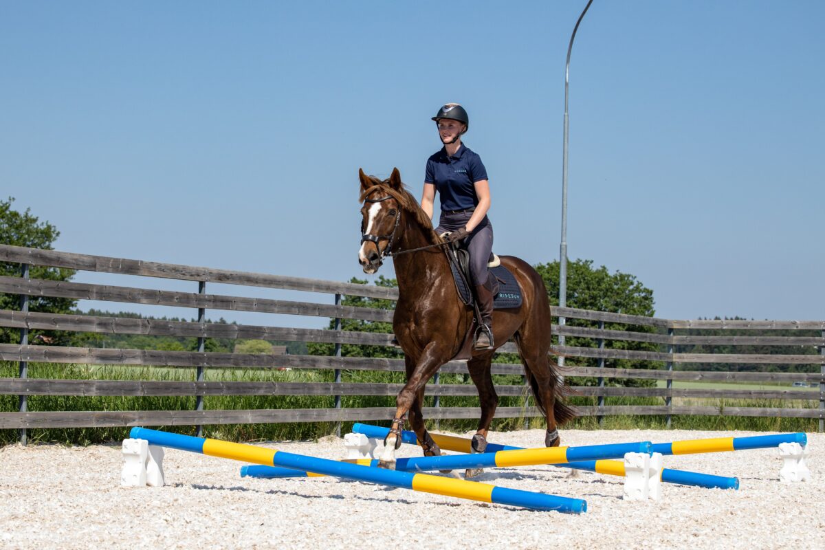 Gratis webinar om sits och teknik för ryttare – Ridesum